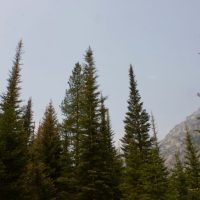 A Haiku About Moses by CDPunt(igam) – K.A. Ramstad